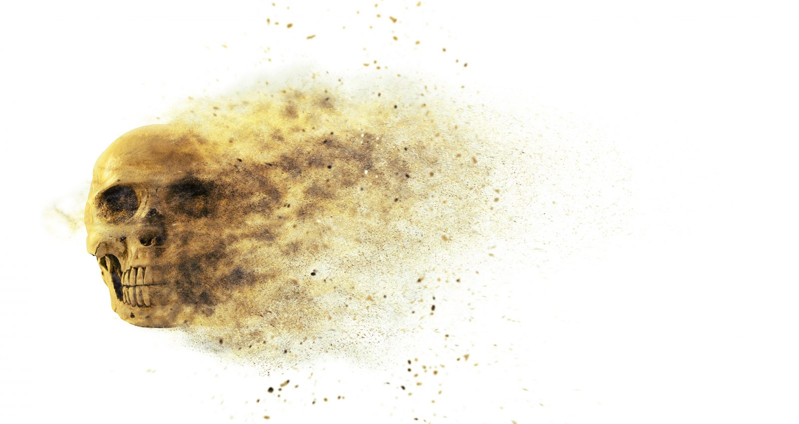 Digital Novels | Tal Bauer